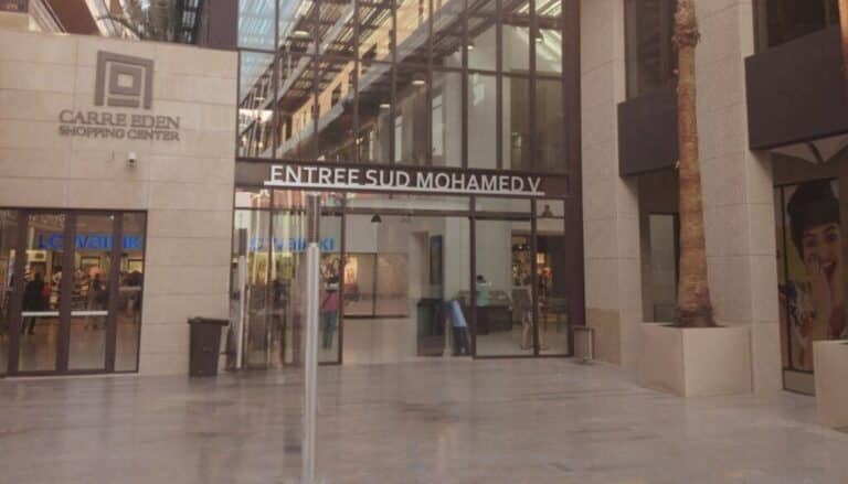 Gueliz District Marrakech: Shopping & Nightlife Guide